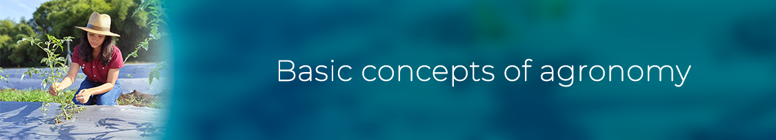 e-LearningbyDoing: Conceptos-basicos-de-agronomia