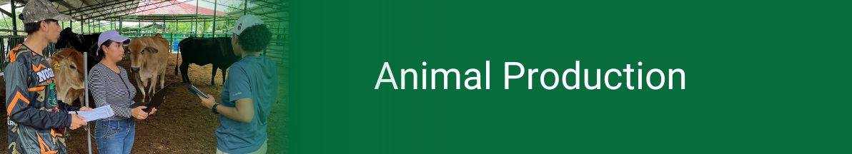 e-LearningbyDoing: Program